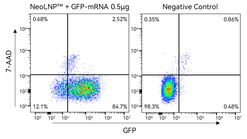 NeoLNP™ mRNA转染载体套装（T细胞专用）_晟迪生物医药（苏州）有限公司